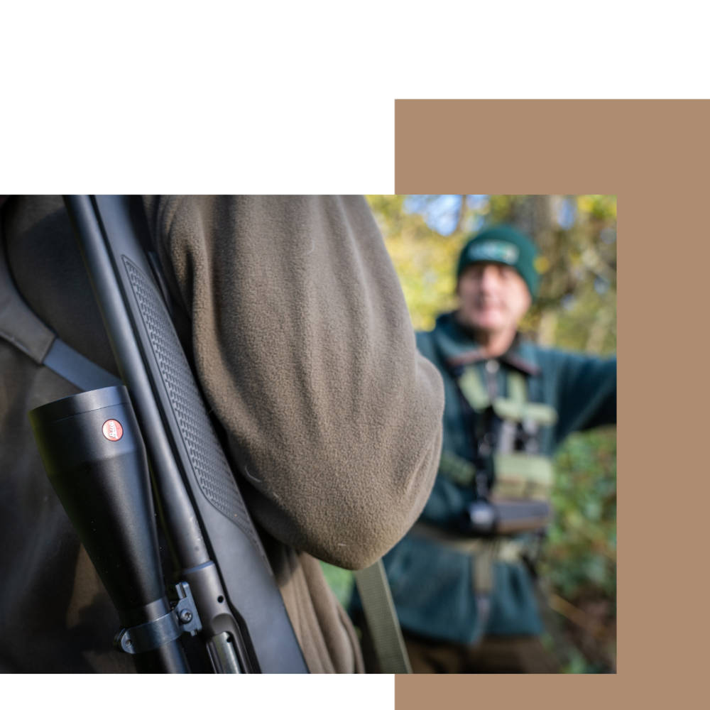 Deer Stalking Certificate 1 – DMQ