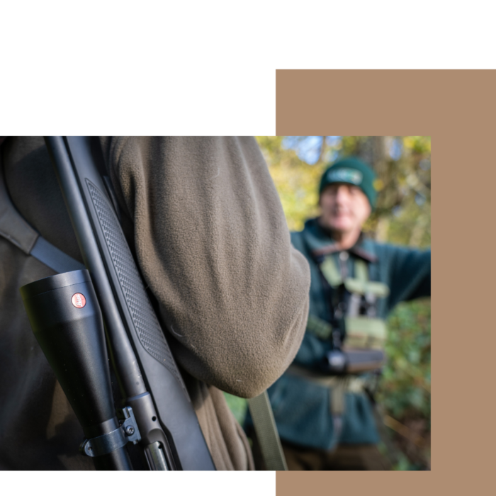 Deer Stalking Certificate 1 – DMQ